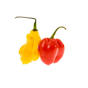 Mini papriky 150 g v akci | AkcniCeny.cz